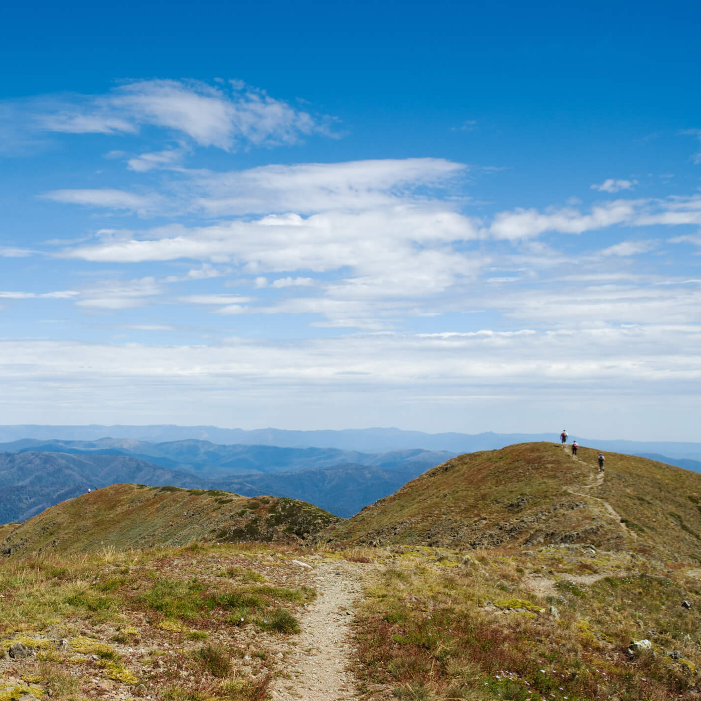 Overnight Adventures - Mt Feathertop 3 day hike - Flow Outdoors