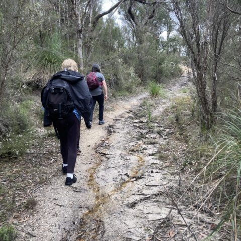 Day Adventures - Walk & Reflect - Flow Outdoors